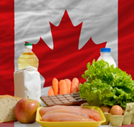 New Canada’s Food Guide 2019 Bringing Big Changes to Grocery Industry ...